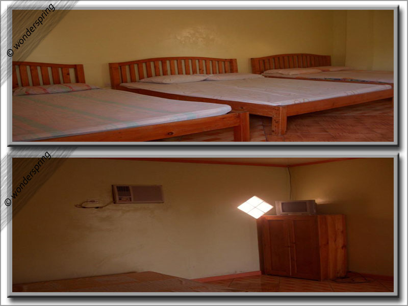 Wonder Spring Resort :: Hot Spring Resort in Laguna, Phil.: WONDER POOL