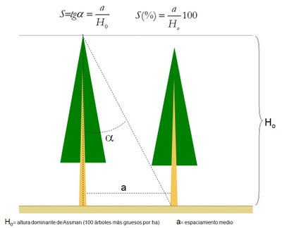Espesura (VI): El Índice de Hart - Becking | Aula Silvicultura