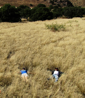 Blogging from the Boot Heel: Portal Rodeo Hiking Club - November 4, 2010