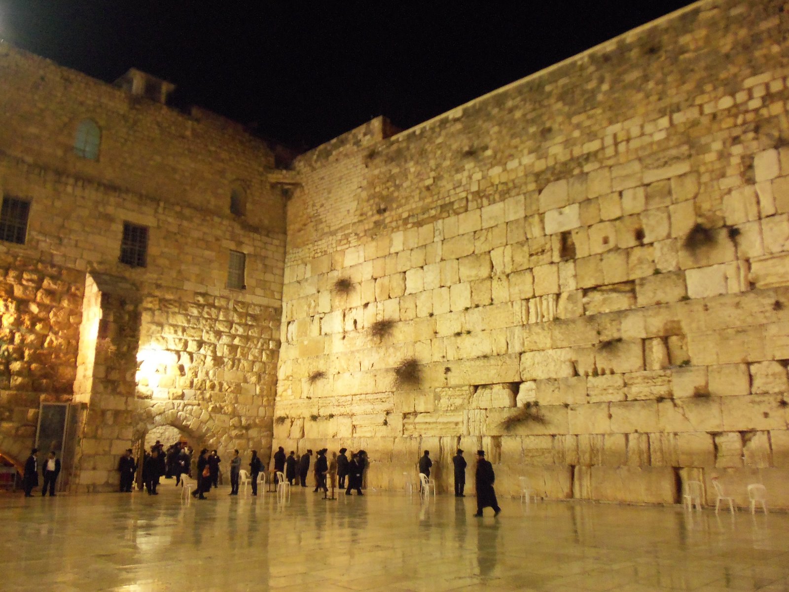 Lakewood Fogels: Kotel at night
