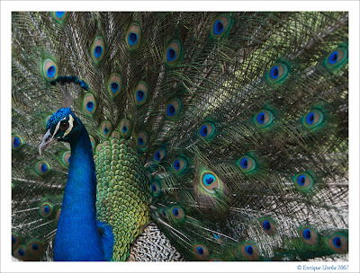 Con los ojos de un corazón nuevo: Pajuil