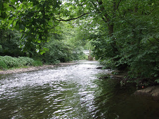 Caught on Course: Back to Stockport... The River Goyt nr Romiley