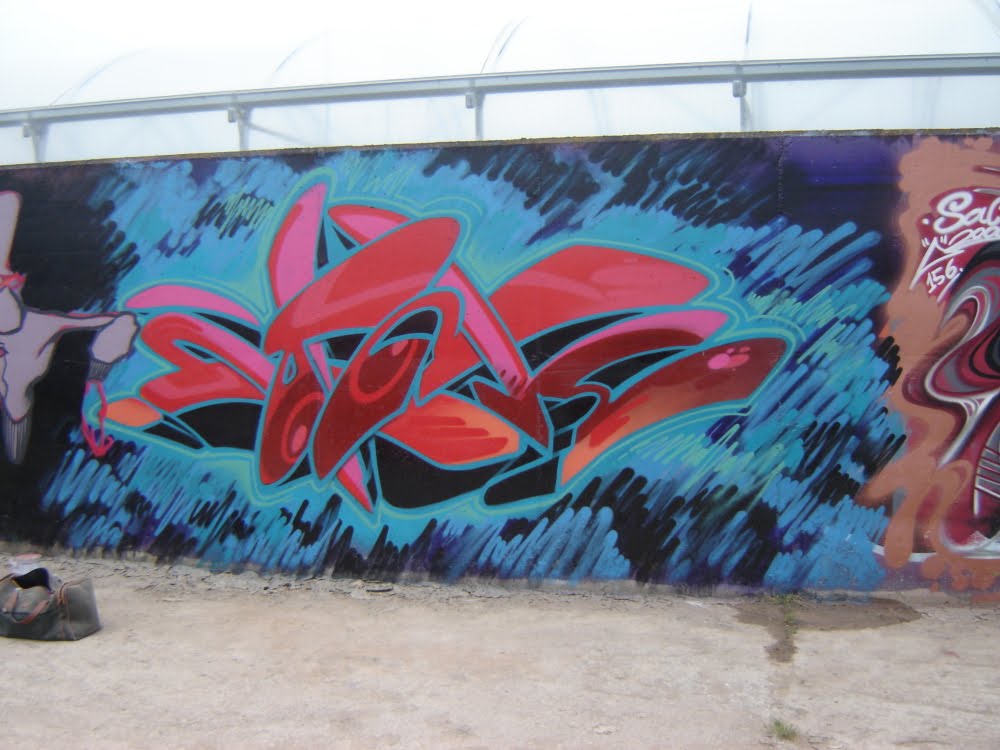 Fosa Graffiti (edu): Gran Pintada Viejuna: Mega Graffiti Gavà 17-4-2010