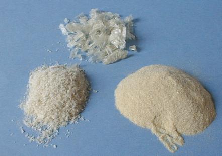 El Agar-Agar la Alga Famosa ~ Fondo Gastronómico