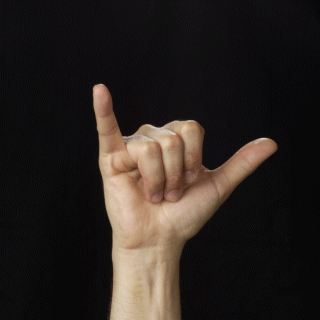 Buckeye by Marriage: The I love you hand