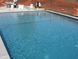 Leisure Pools, Inc: 18x30 pool with step platforms and bluestone patio