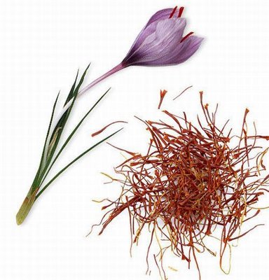 GASTRONOMIA ARAGONESA.: HISTORIA DEL AZAFRAN.