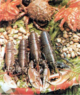Frutos del mar: Que son los mariscos?