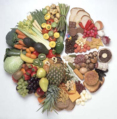 “Vegetarianos e Veganos” | √єgєταяīαηīىмσ э Éтicα™®