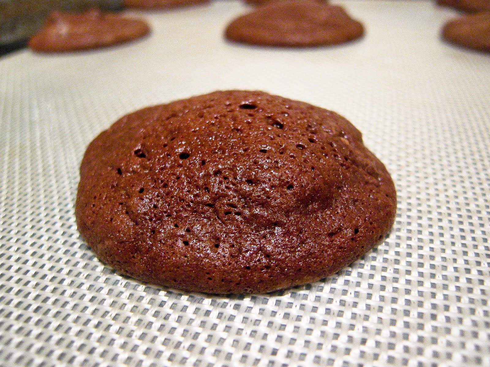 Mocha Cookies - The Spiced Life