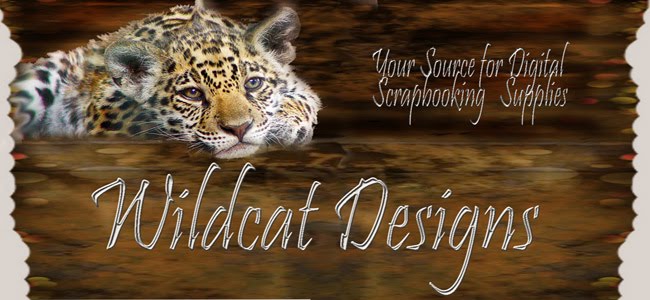 Wildcat Designs