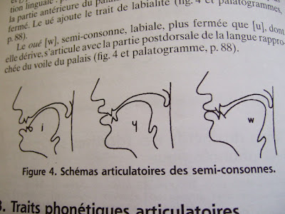Blog de lecture: Articulation des semi-consonnes