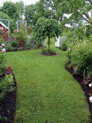 Trädgårdsdrömmar: Trädgårdsvandring...Rosariet