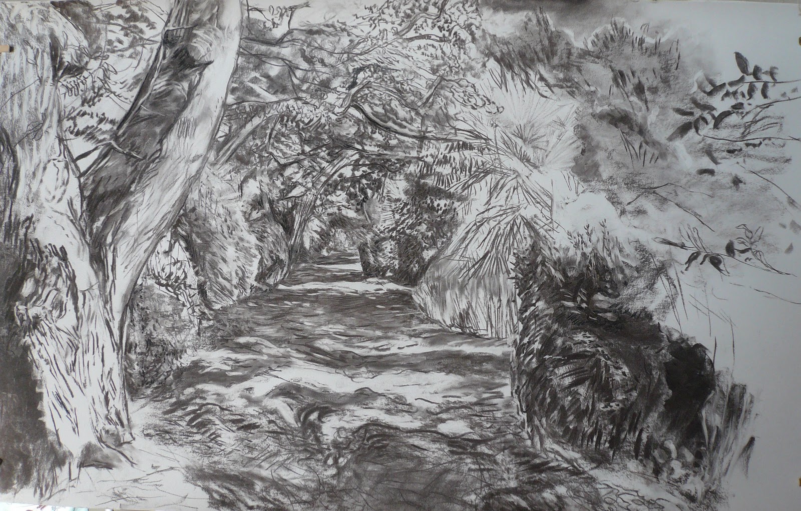 Christophe Chaillot: Paysages : arbres aux fusains