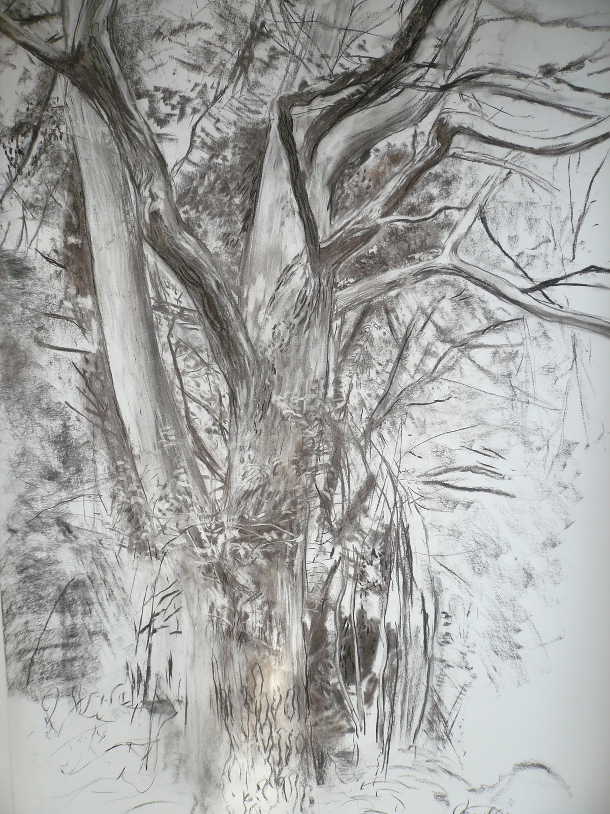 Christophe Chaillot: Paysages : arbres aux fusains