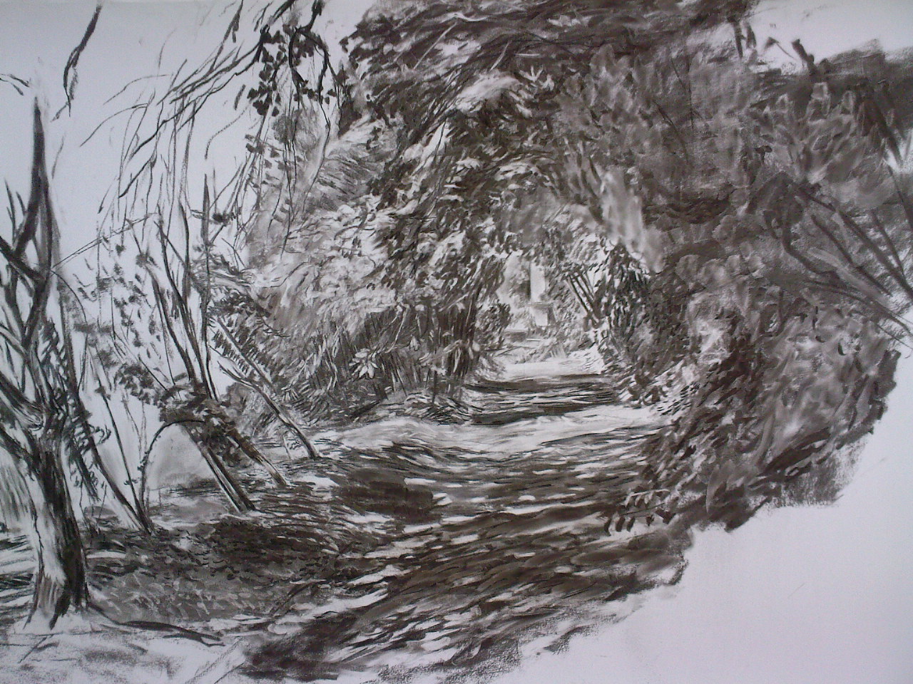 Christophe Chaillot: Paysages : arbres aux fusains