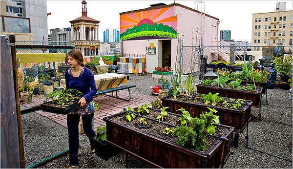 SRG CULINARY BLOG: Community Connected: The Evolution of Urban Farming