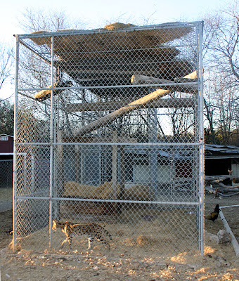 Articles: Article: Snake Farm