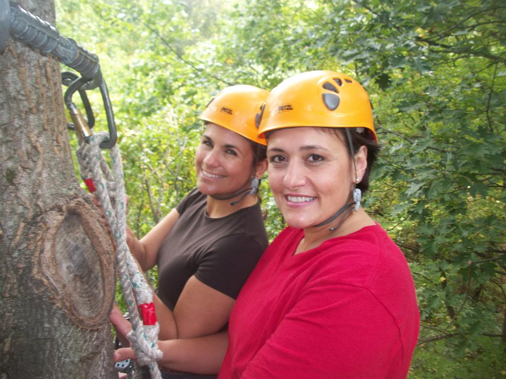 Lessons among the trees