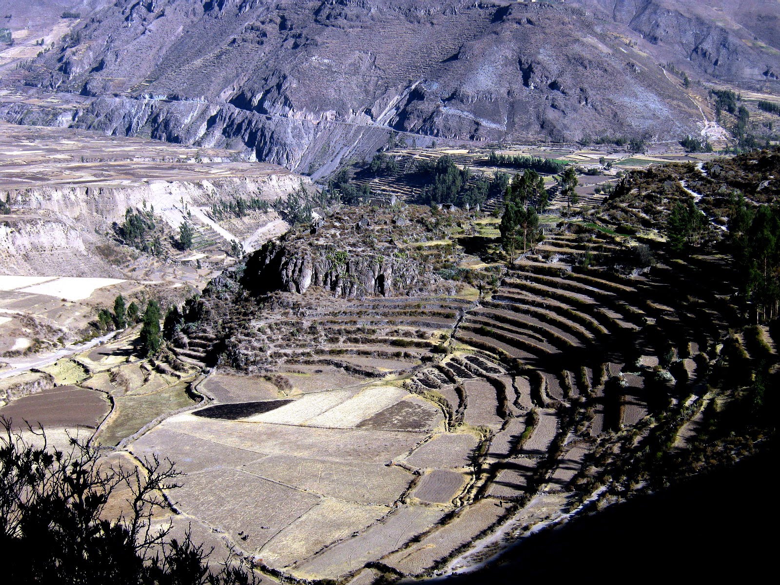 The Colca Specialist: Walking in Coporaque with the Colca Specialist