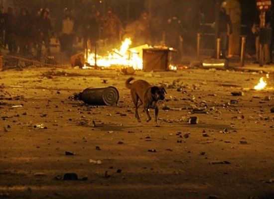The truth is out there: Lukanikos, the Greek [awsome] riot dog