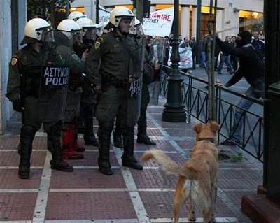 The truth is out there: Lukanikos, the Greek [awsome] riot dog