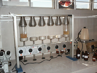 Equipo 5 Laboratorio de Alimentos: Determinacion de Fibra