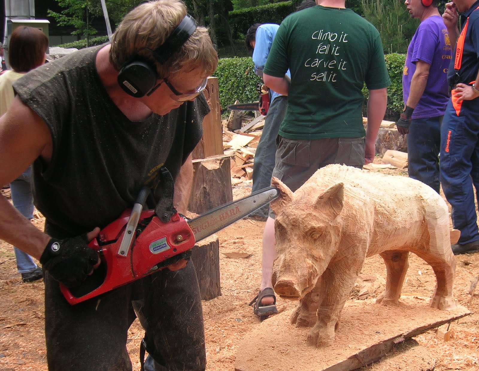Angie Polglaze - Sculptor: Carving with ‘Masters’