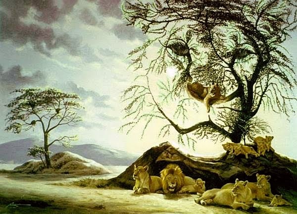 Amazing animal illusions ~ Life Amazing