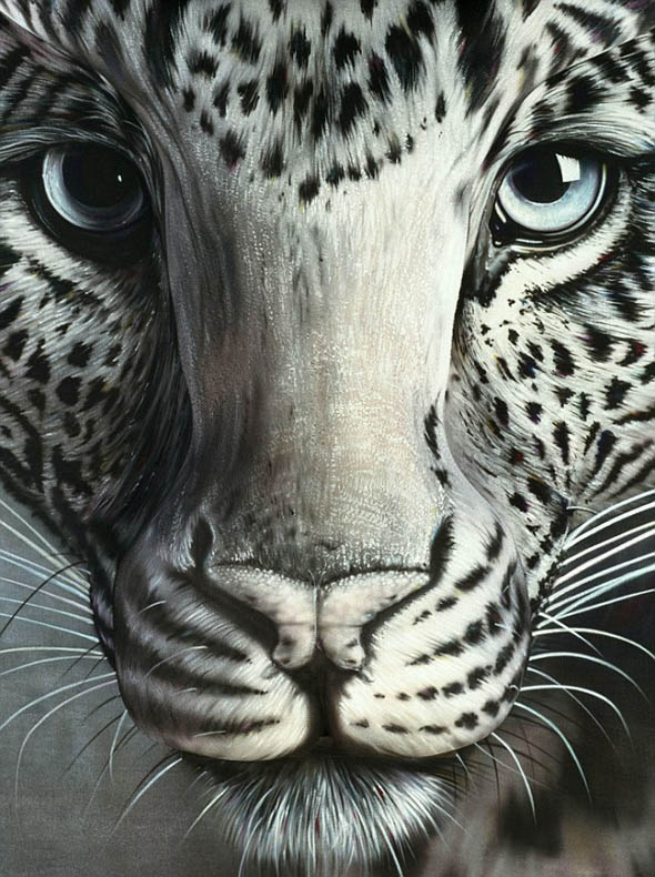 Image Impression: Amazing animal illusions