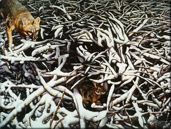 Amazing animal illusions ~ Life Amazing