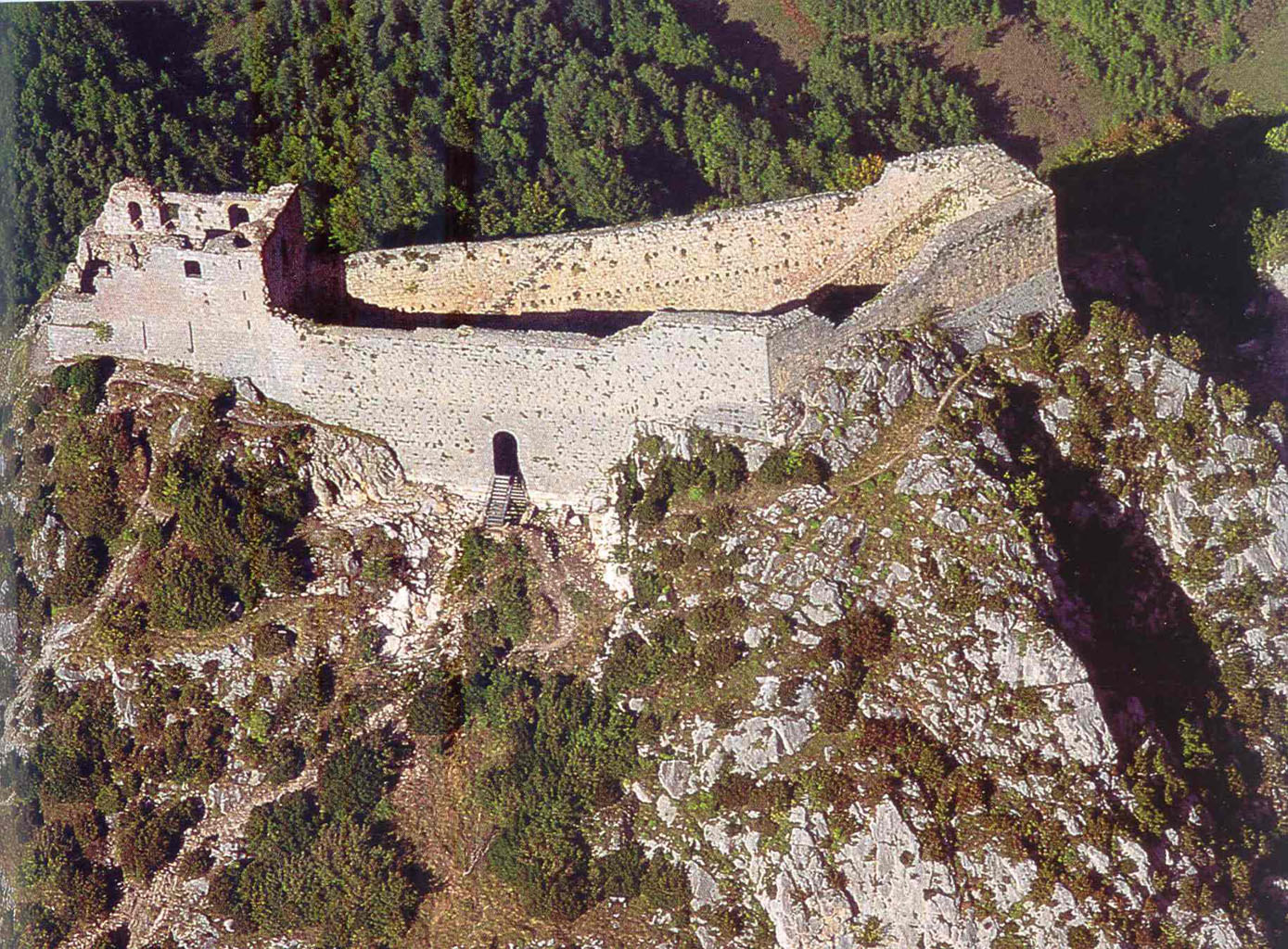 FASE DIEZ: CATARISMO