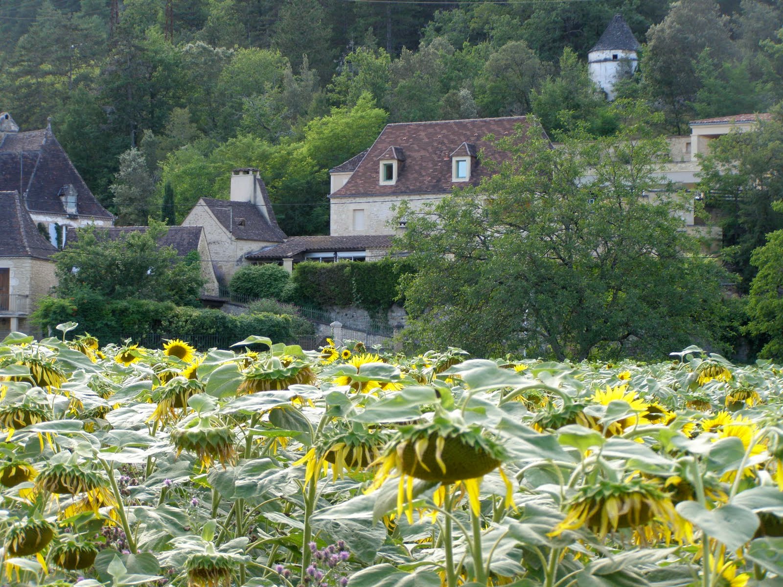 Notes from the Pigeonnier