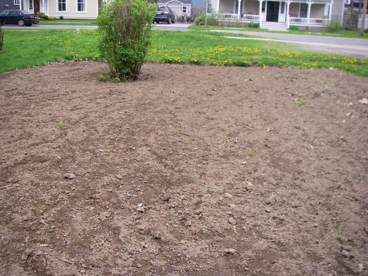 Landless Gardeners: 6/13/10 - 6/20/10