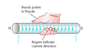 Physics Blog: Right Hand Rules