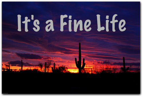 It's a Fine Life