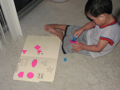 Cool School at Home: Shapes Lapbook