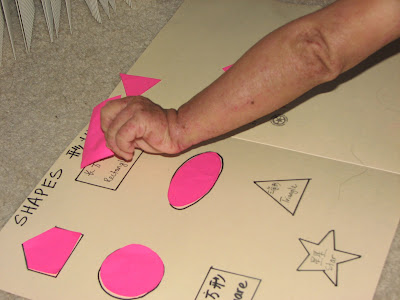 Cool School at Home: Shapes Lapbook