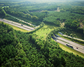 Ecodemica: Wildlife bridge or ecoduct