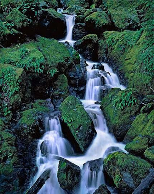 Landforms 92109 | PPT