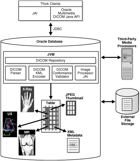 The Information Technology Forum Adobes Extensible Metadata Platform Xmp As Used With Dicom