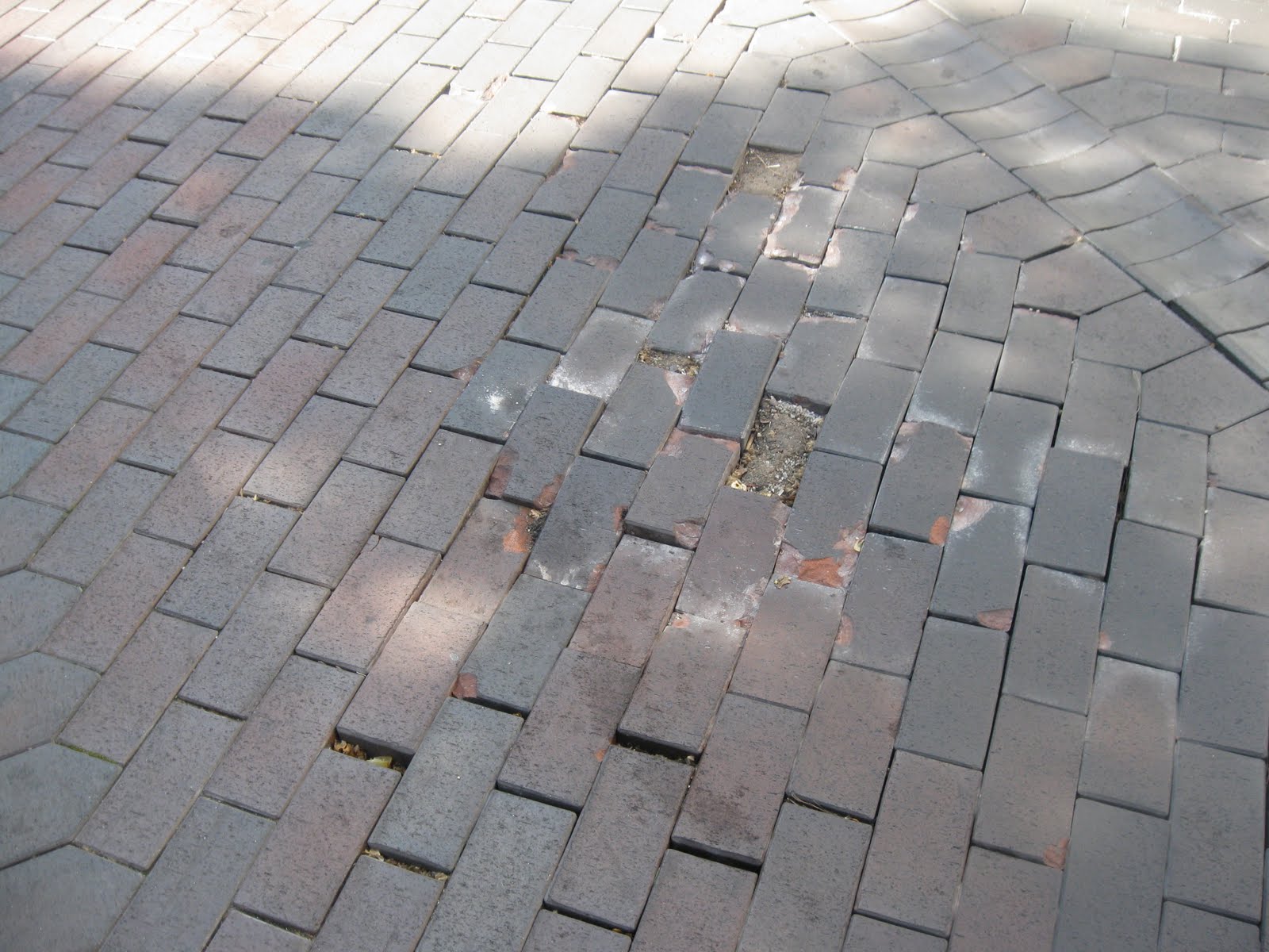 VECINOS POR ALCORCÓN: ¿Calles de coexistencia?