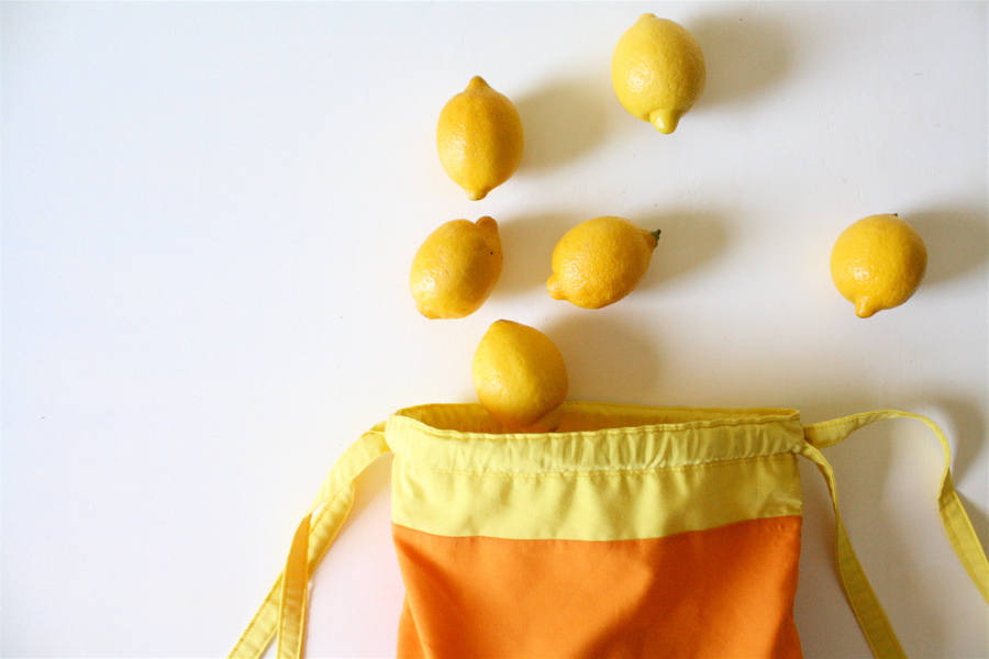 the Citrus Sack - MADE EVERYDAY