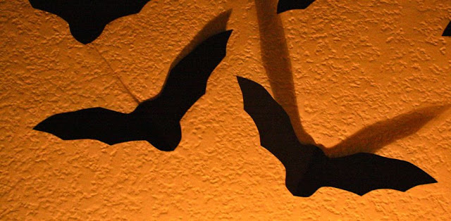 Paper Bats - MADE EVERYDAY