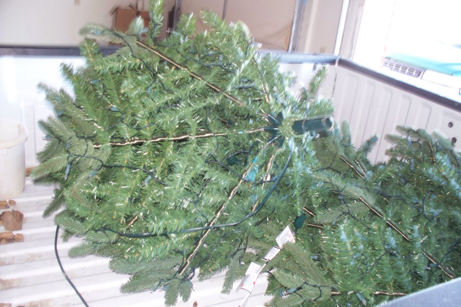Surrey Hills Farm: Old Christmas Tree Now a Hat Rack