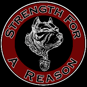 No Good Cause: Strength For A Reason- Show And Prove