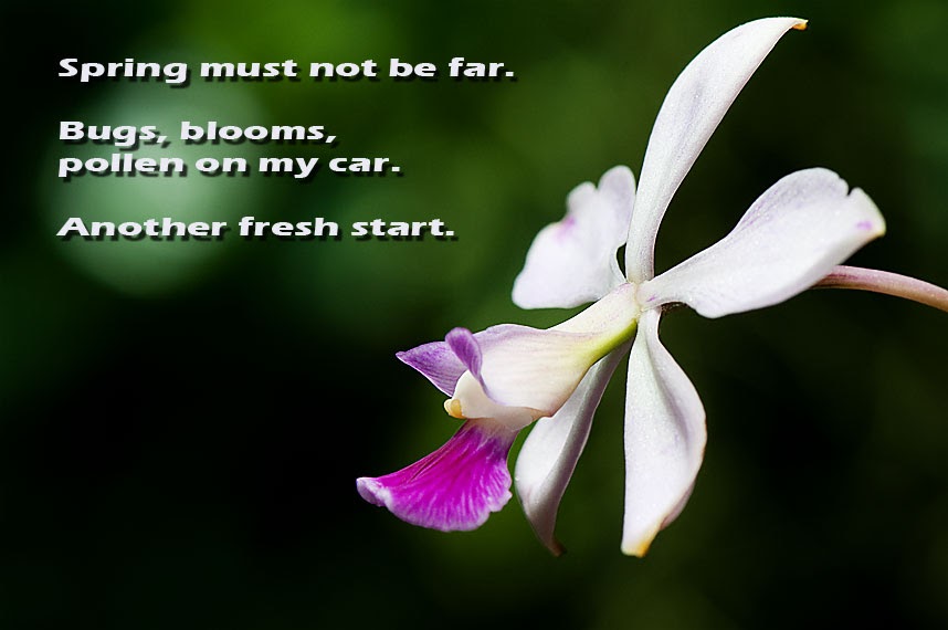 IcarusPassion: Haiku