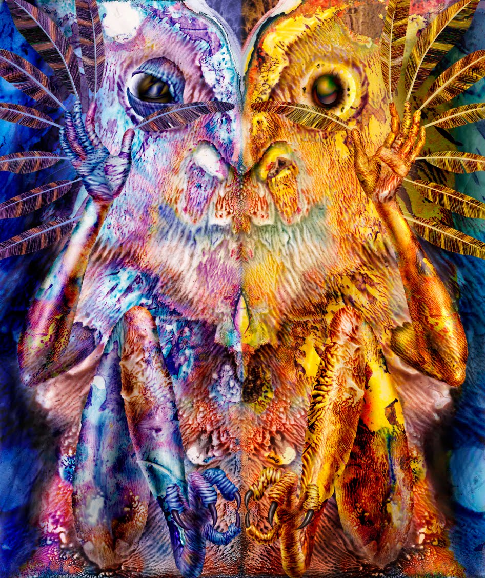 My Vain Doodles: Owl Shaman Decalcomania