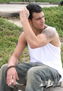 Fitties: Pop Star: Abs Breen