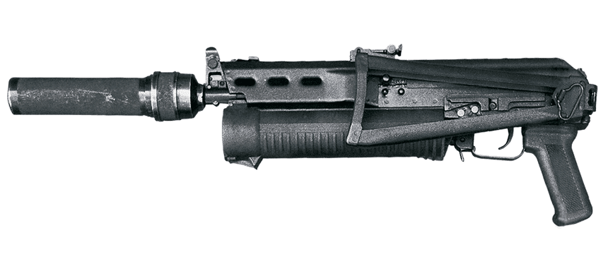 Armas de Fuego: bizon